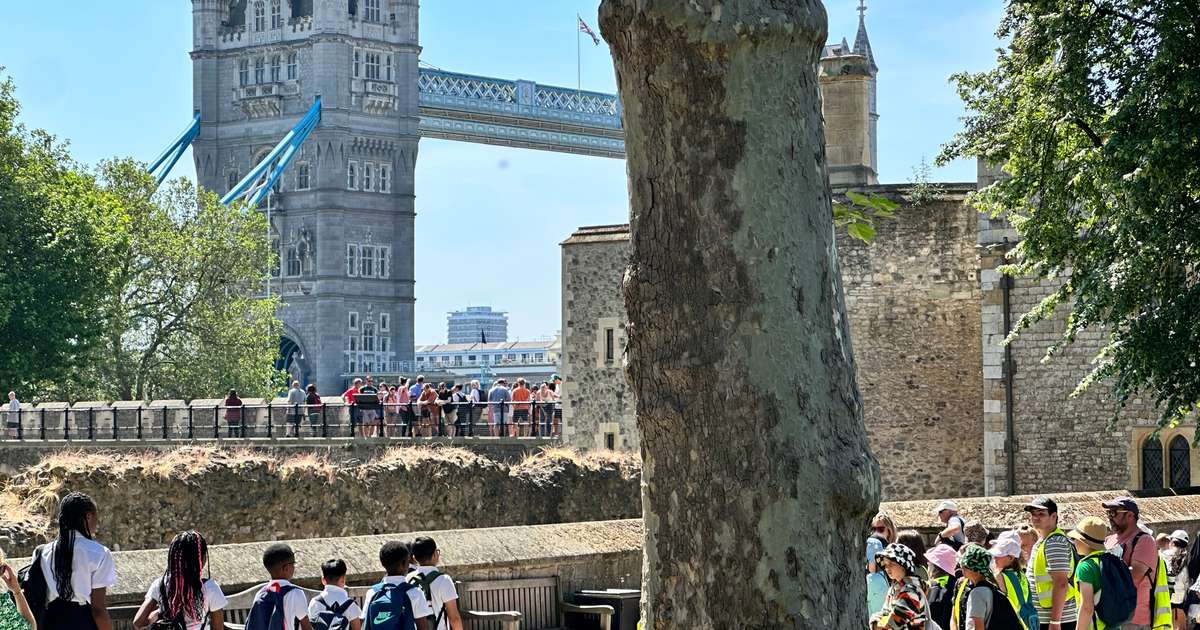 Highlights of London Sightseeing Tour with a Kid-Friendly Guide ...